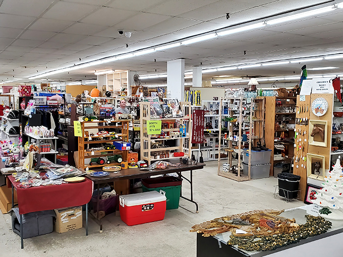 Inside, the organized chaos of collectibles stretches as far as the eye can see. Marie Kondo would have a panic attack, but everything here sparks joy.