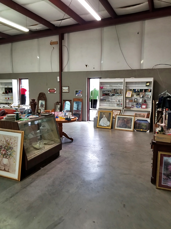 Framed artwork and display cases create an impromptu gallery where someone else's discarded decor becomes your next conversation piece.