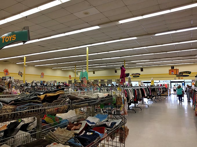 A bird's-eye view of the retail playground where racks stretch to the horizon and every aisle holds potential discoveries.