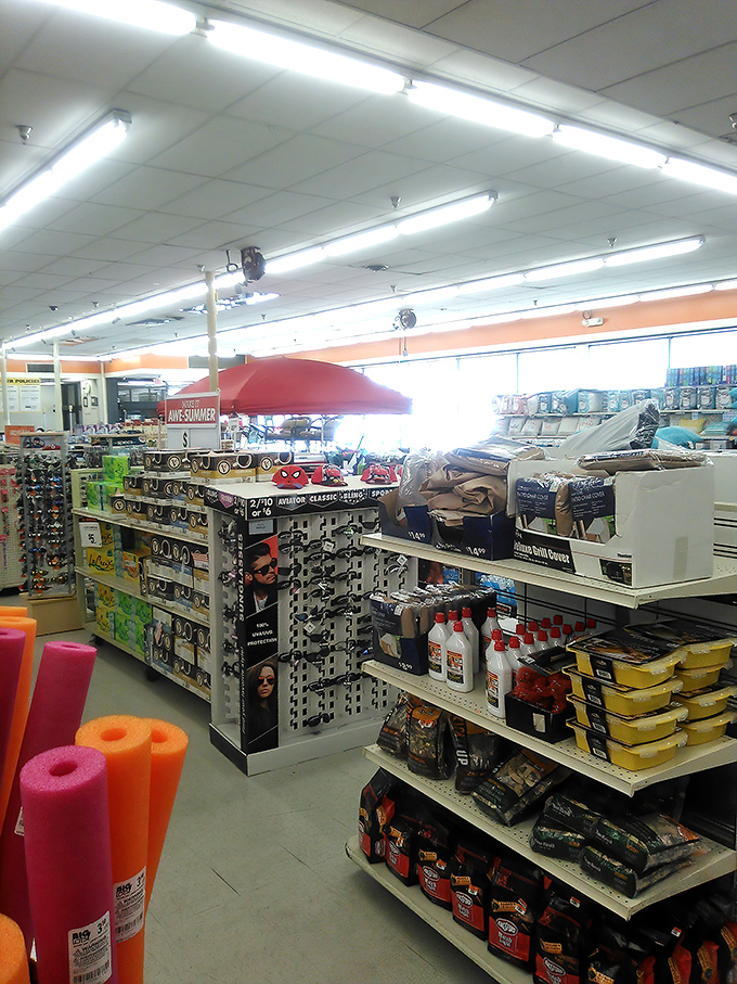 Navigating these aisles is retail archaeology at its finest&mdash;dig through enough layers and you'll unearth that perfect lamp your living room's been missing.