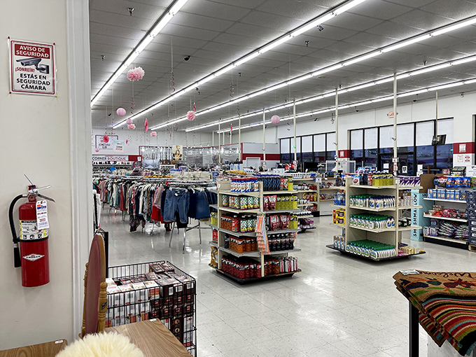 Aisles stretch toward retail infinity, organized with a precision that would make Marie Kondo nod in approval.