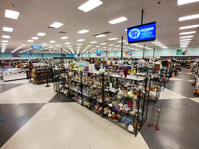 A view that makes warehouse clubs look positively quaint &ndash; welcome to thrifting's major leagues.