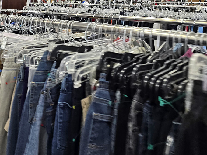 Denim cascades like a blue jean waterfall, each pair holding stories from previous lives waiting for new chapters.