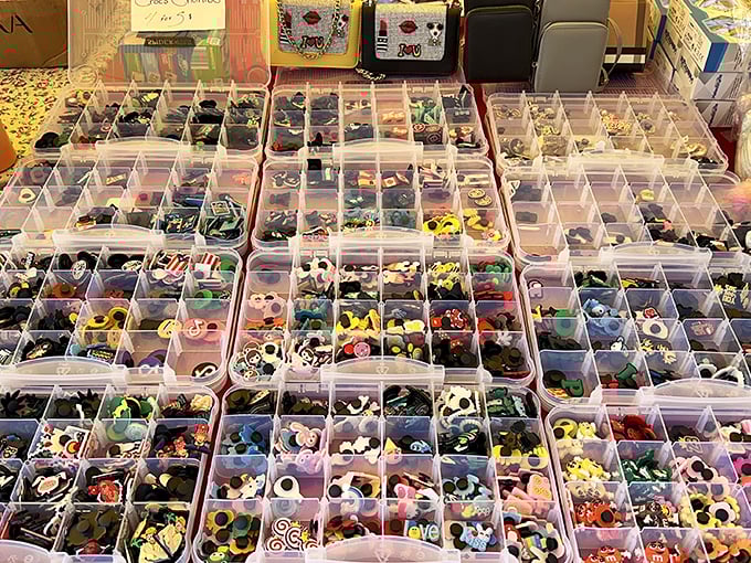 Tiny treasures, endless possibilities! These meticulously organized charm collections are like a candy store for accessory enthusiasts.