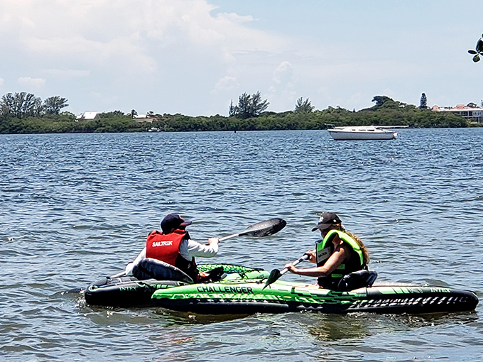 Adventure doesn't need a hefty price tag. Kayaking Lemon Bay offers close encounters with Florida's natural side—sometimes including friendly manatee neighbors who don't charge for photo ops.