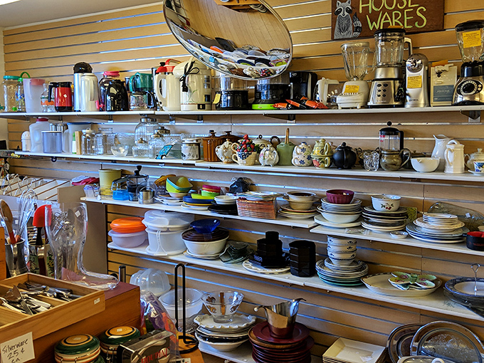 Kitchen gadget heaven! From barely-used blenders to vintage teapots with stories to tell, this wall of culinary possibilities makes Williams-Sonoma look overpriced.