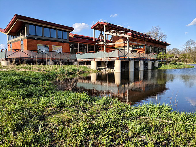 Knoch Knolls Nature Center perches over the water like a luxury treehouse for grown-ups who still appreciate a good view with their nature lessons.