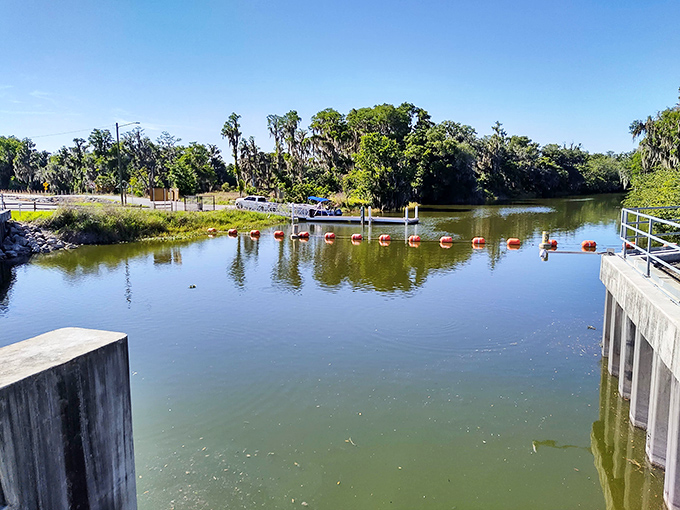 Florida living means water is never far away&mdash;this peaceful boat ramp offers fishing and wildlife viewing that beats any cable TV nature show.