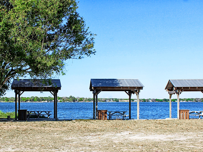 Lakeside picnic shelters await your sandwich and stories&mdash;nature's dining room with a water view that beats any restaurant reservation.