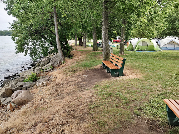 The best seat in the house doesn't require reservations. This lakeside bench offers front-row tickets to nature's greatest show.