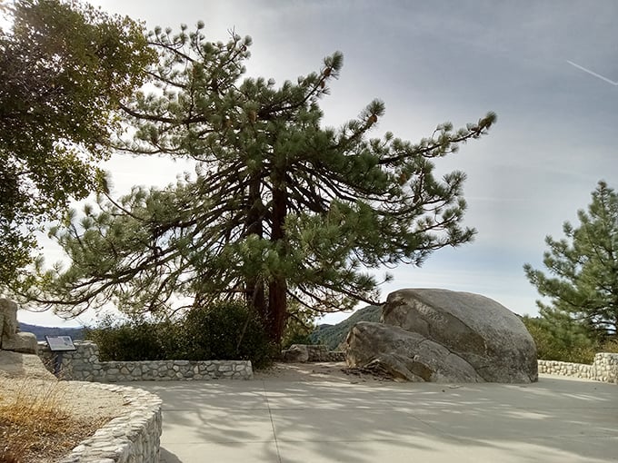 "I'm ready for my close-up, Mr. DeMille." This granite boulder has been perfecting its pose for roughly 100 million years.