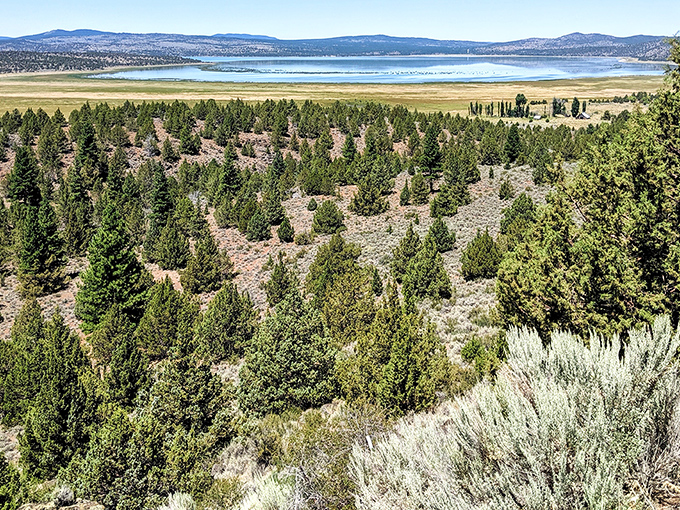 Eagle Lake's pristine waters stretch toward mountains that Bob Ross would've painted with extra happy little trees.