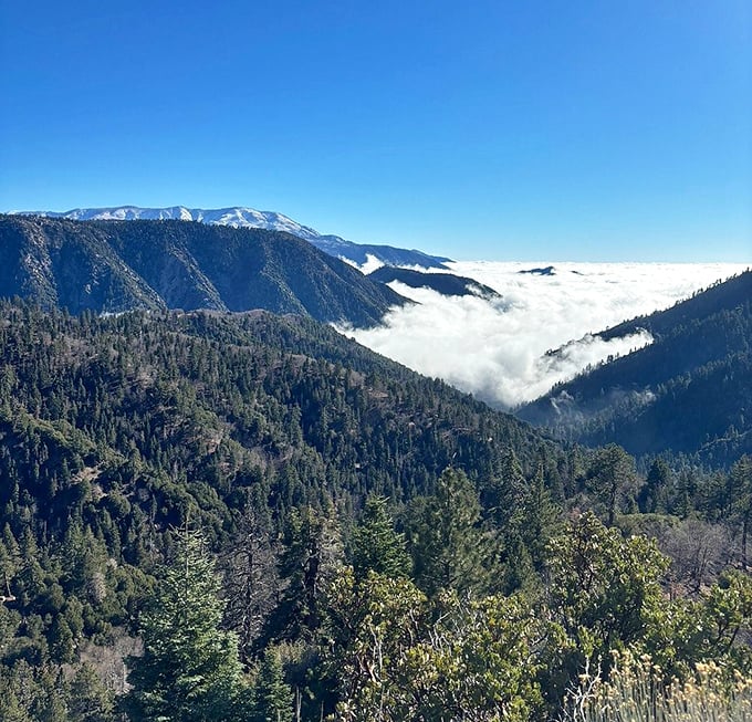 Cloud surfing without leaving your car! This magical inversion layer transforms the valley into an ocean of fluffy white, making mountains into islands.