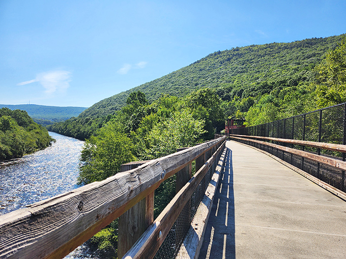 The Lehigh Gorge Trail offers nature's version of a red carpet, with the rushing river providing a soundtrack to your adventure.