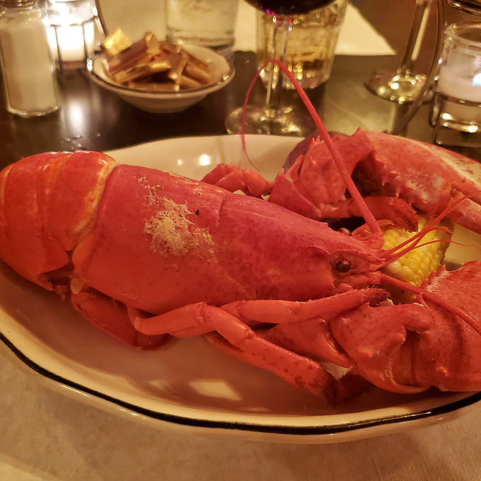Behold the lobster that makes Maine jealous &ndash; twelve ounces of butter-drenched rebellion against geography.