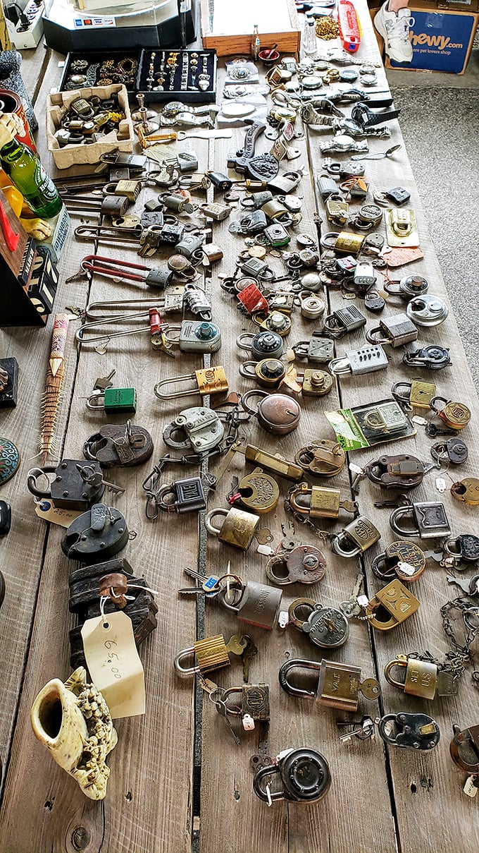 Security never looked so collectible! Each antique padlock holds secrets of places once protected, now transformed into metallic works of art.