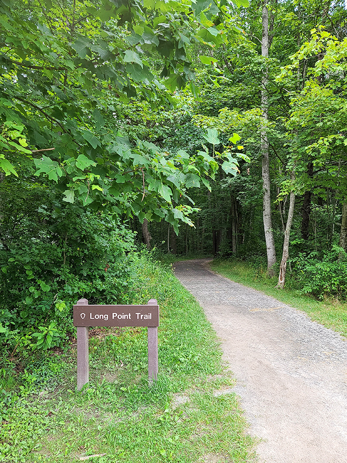 Long Point Trail beckons with the promise of adventure and Instagram-worthy views. Nature's red carpet, minus the paparazzi and uncomfortable shoes.