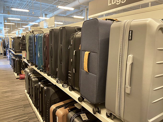 Luggage lined up like soldiers ready for your next adventure. At these prices, you might buy an extra suitcase just to carry home your other bargains.