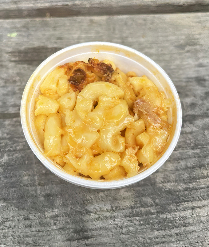 Mac and cheese that doesn't apologize for being exactly what comfort food should be. Creamy, gooey, and utterly nostalgic.