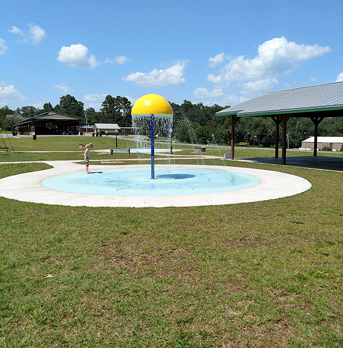 Splash pads: where grandkids burn energy and grandparents get to sit in the shade pretending they wouldn't join in if their knees allowed.