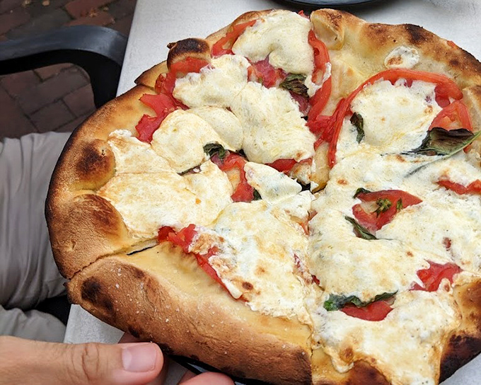 This Margherita pizza isn't just food; it's edible art. The blistered crust and melty mozzarella pools are what pizza dreams are made of.