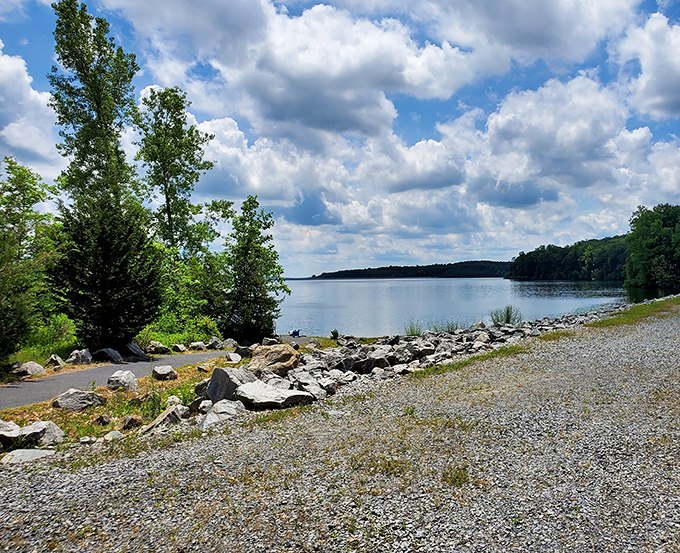 The Delaware River's serene waters reflect clouds that seem to be practicing their synchronized swimming routine against the blue sky.