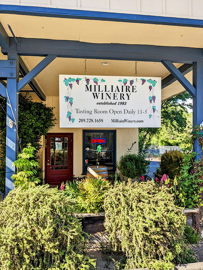 This cozy tasting room proves you don't need pretension to pour excellent wine, just passion and hospitality.