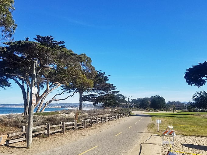 The coastal recreation trail winds along Monterey Bay, where joggers get scenery so stunning it almost makes exercise feel worthwhile. Almost.