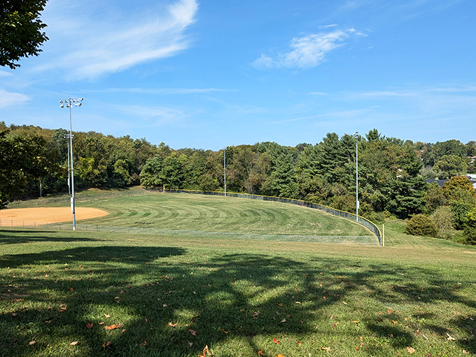 At Montgomery Hall Park, baseball diamonds aren't forever, but they're certainly for summer. The perfect backdrop for America's pastime or an impromptu nap.