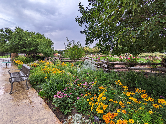 Nature's color palette on full display at the Montrose Botanic Gardens, where benches strategically placed among the blooms invite moments of quiet contemplation.