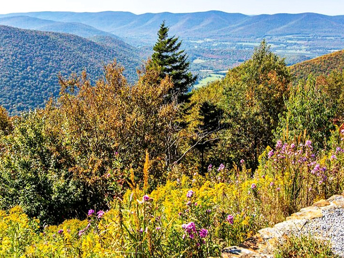 The kind of road that makes you cancel your gym membership &ndash; who needs cardio with views like these?