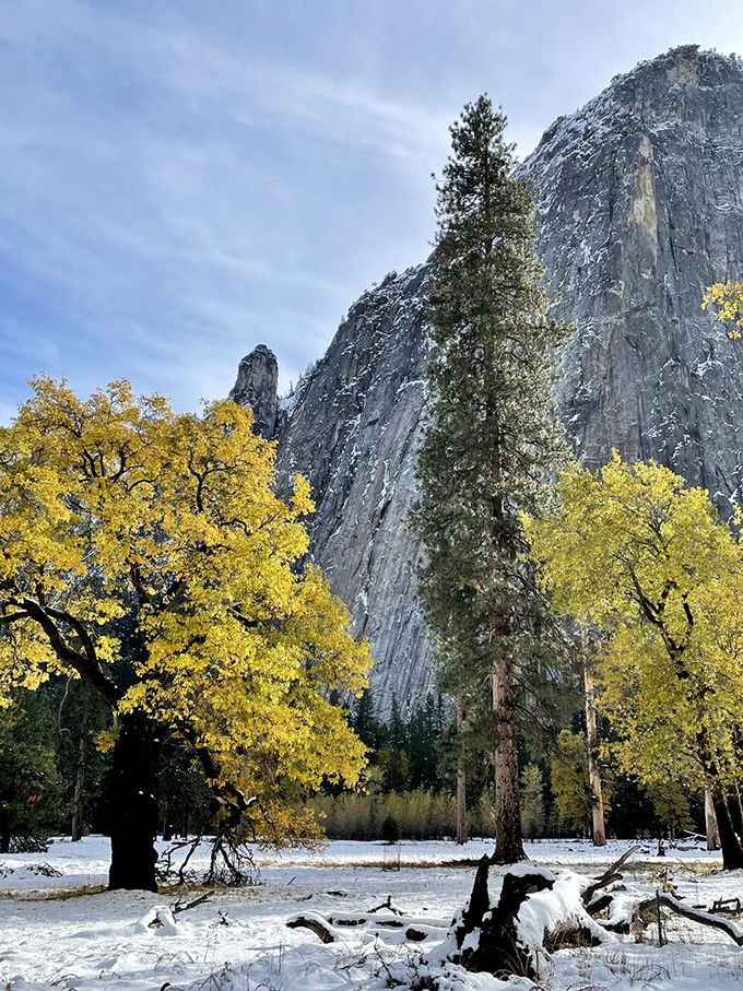 Nature's color palette at work: Golden trees against snow-kissed granite cliffs&mdash;proof that Mother Nature was the original Instagram influencer.