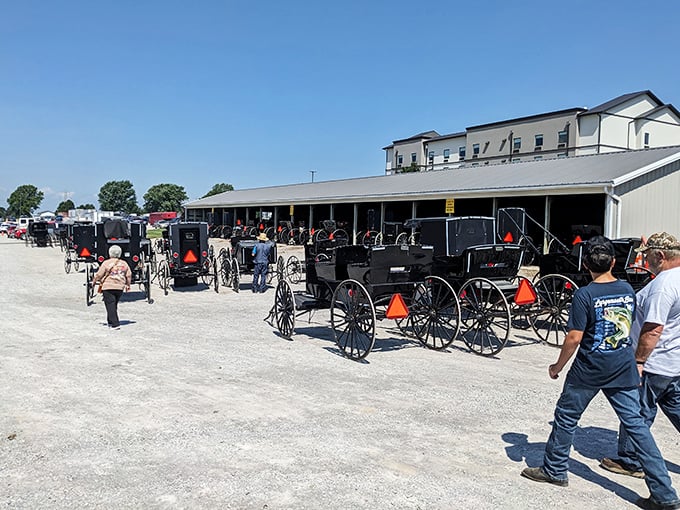 Parking lot poetry: dozens of buggies lined up outside the Mount Hope Event Center, where community gatherings happen without a single car alarm.