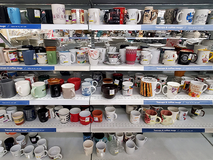 A museum of morning memories where every mug tells a story &ndash; from corporate retreats to family vacations that deserve better than storage boxes.