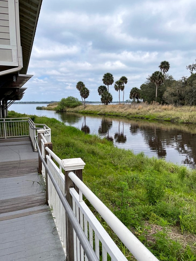 Reflections so perfect you'll wonder if Mother Nature hired a professional decorator. Florida's natural waterways outshine any hotel pool.