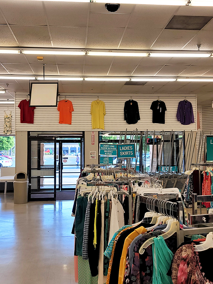 The display near the entrance offers a tantalizing preview of the treasures that await deeper in this secondhand wonderland.