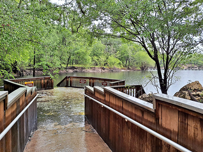 The wooden boardwalk invites you into Troy Springs' aquatic wonderland. Like stepping into a painting that happens to be refreshingly wet.