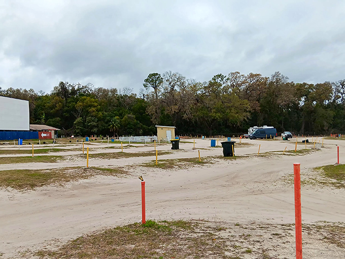 The screen stands ready for another night of movie magic under the Florida sky.
