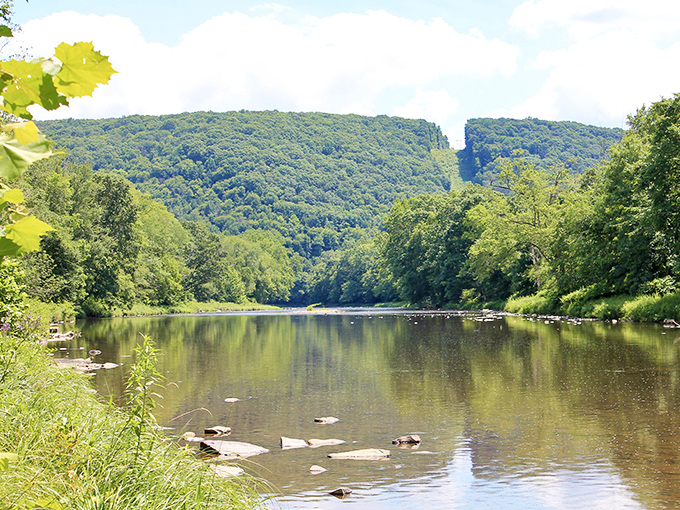 The Allegheny River flows like liquid gold through Oil Creek State Park, mirroring hills that seem to have been painted by an artist with an unlimited green palette.