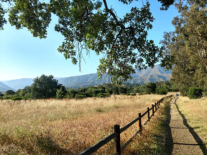 Nature's meditation room: The Ojai Meadows Preserve offers trails where the only traffic is butterflies and the occasional contemplative hiker.