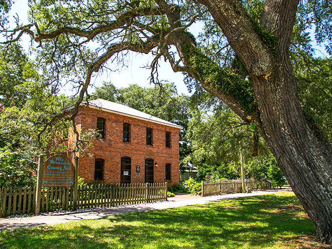 The Old Brunswick County Jail now holds stories instead of prisoners. That massive oak tree has probably been standing guard since Thomas Jefferson was penning letters.