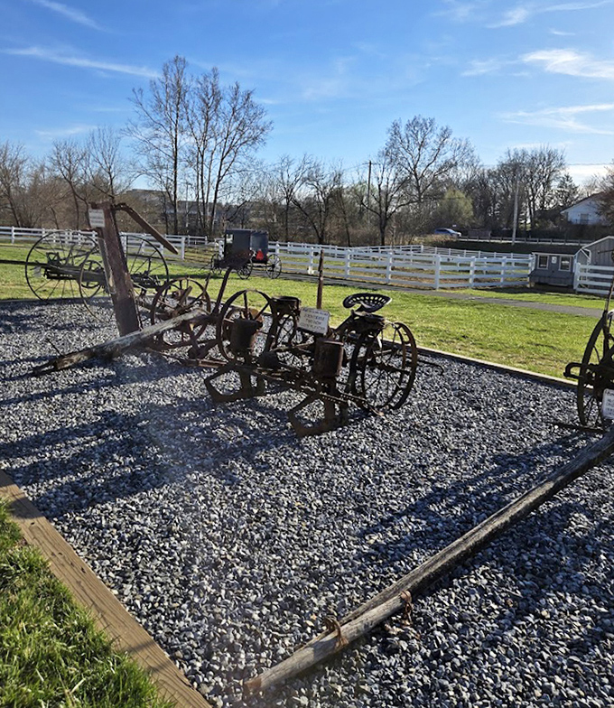 Farm equipment with more history than your grandpa's stories. These rustic implements weren't designed by algorithm but by generations of practical problem-solving.
