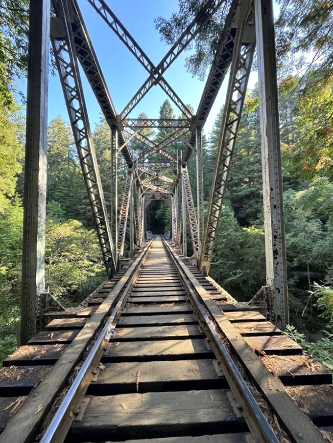 Engineering meets wilderness at this historic trestle bridge, a remnant of the area's logging past now serving as a portal to adventure.