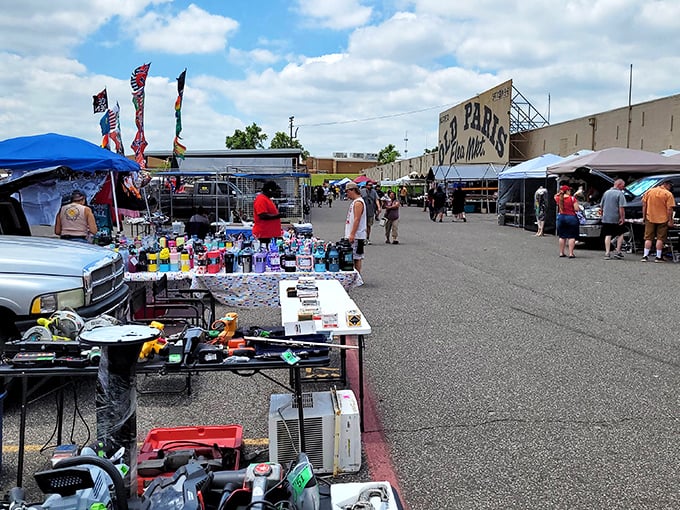 The outdoor market transforms ordinary parking lots into extraordinary bazaars where one person's "why am I keeping this?" becomes another's "how did I live without this?"