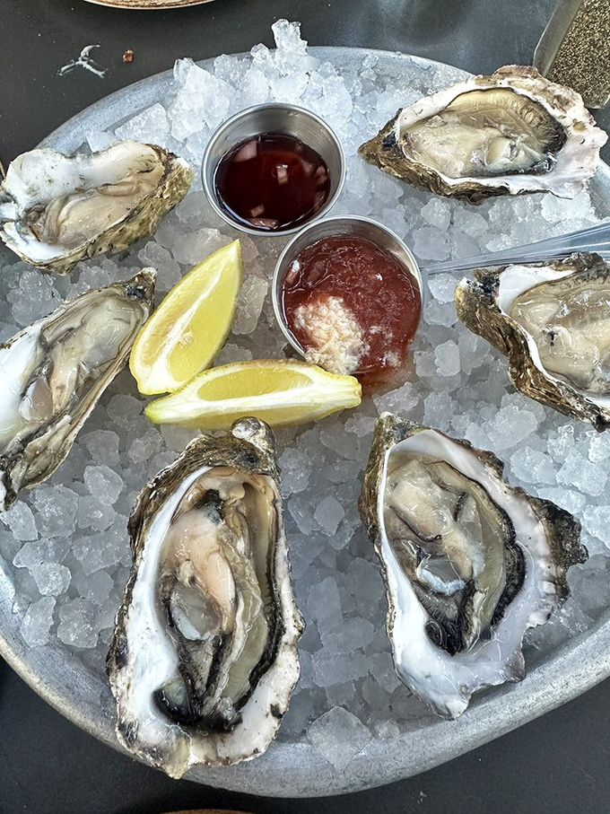 Oysters on the half shell&mdash;nature's perfect appetizer. These glistening beauties arrive with classic accompaniments, ready to transport you straight to ocean bliss.