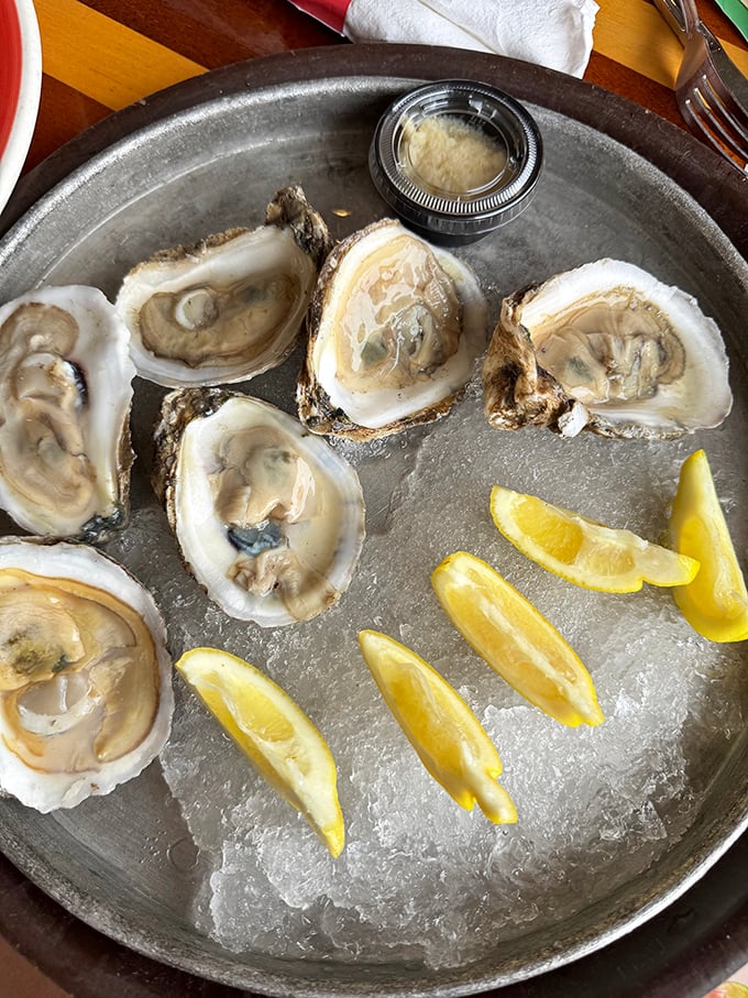 These oysters aren't just served; they're presented like the briny celebrities they are, with lemon wedges as their entourage.