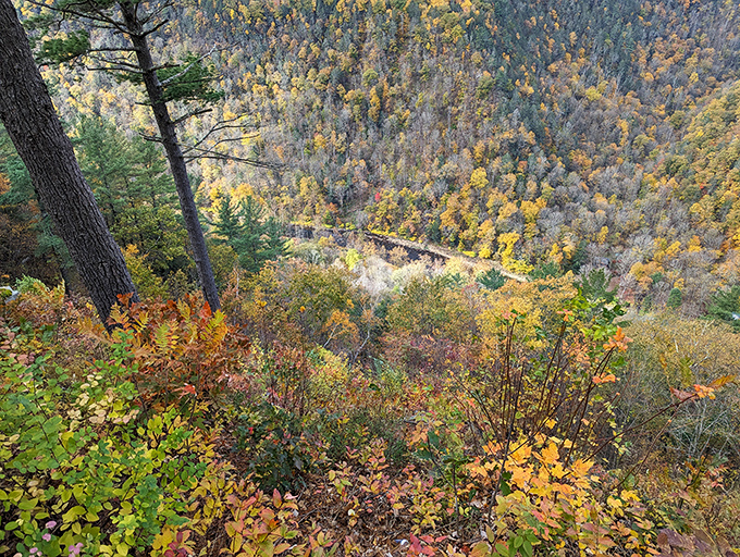 The Pennsylvania Grand Canyon in autumn is nature showing off its color palette&mdash;like a Bob Ross painting come to life, just with fewer "happy little trees."