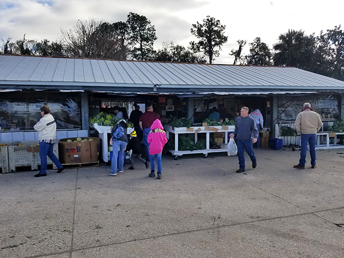 Local farmers showcase their harvest under this no-frills market shelter, where the freshest produce speaks for itself without fancy packaging or inflated prices.