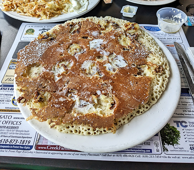 This isn't just a pancake; it's a golden-brown canvas of happiness with crispy edges and a powdered sugar snowfall.