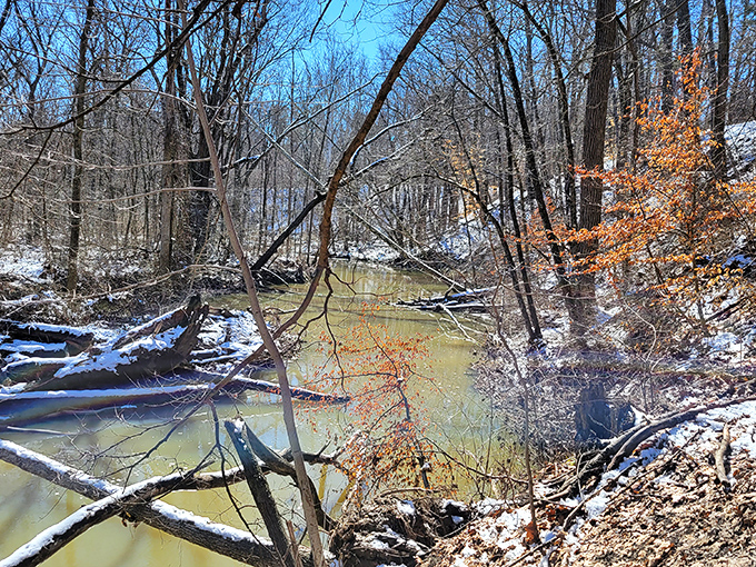 Parkersburg Wildlife Area showcases winter's quiet beauty, where nature provides free entertainment through every changing season.
